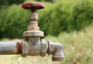 When Is The Best Time For An Irrigation Inspection?