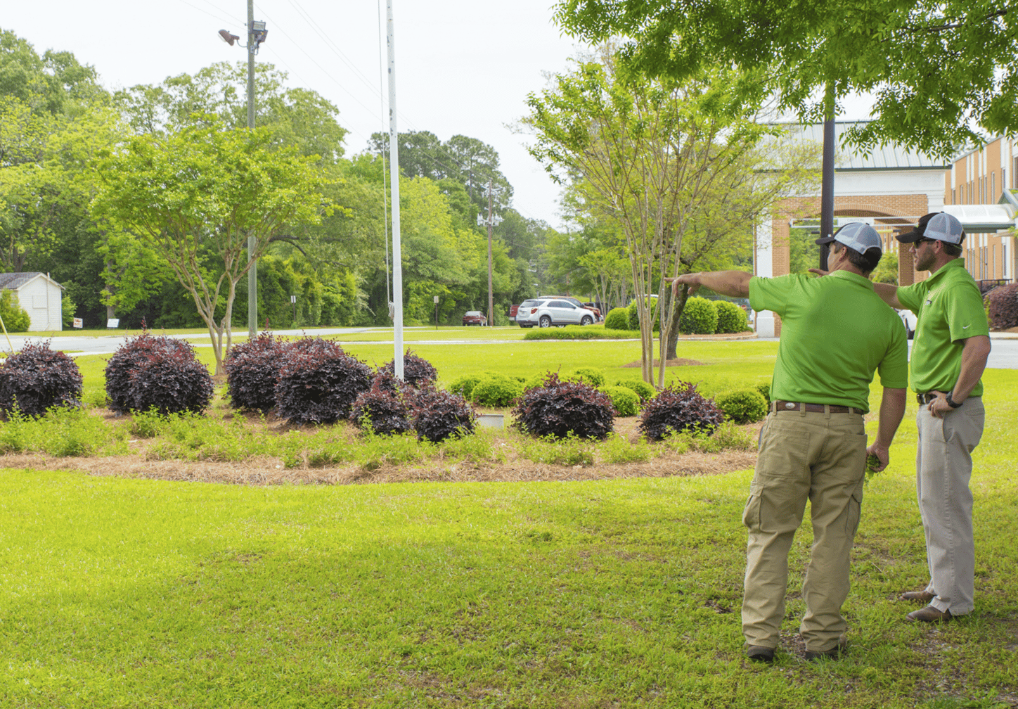 Capital Improvement vs. Maintenance and Repairs in the Landscape
