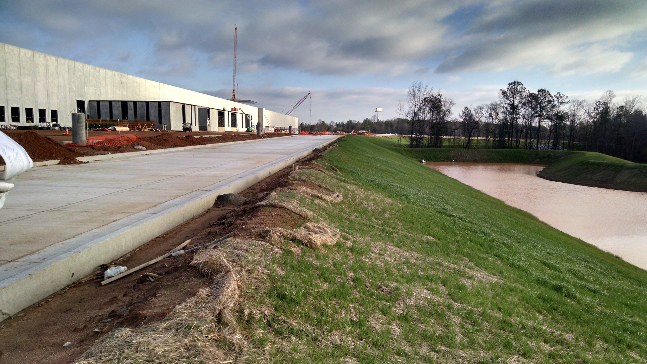 How to Landscape A Slope For Sustainability And ROI