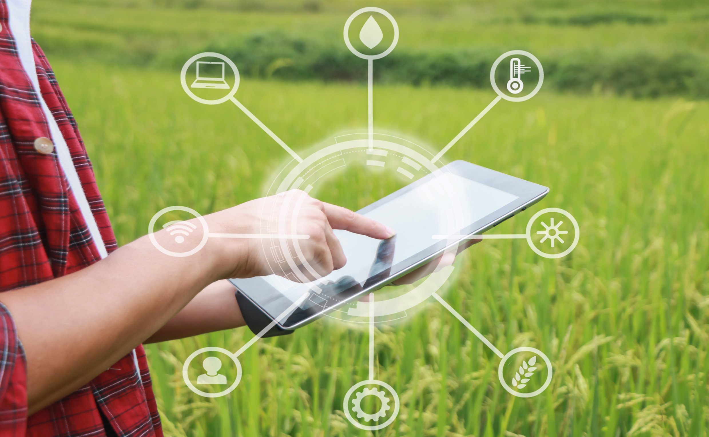 Maximizing Returns: The Significance of Hiring a Full-Service Landscape ...