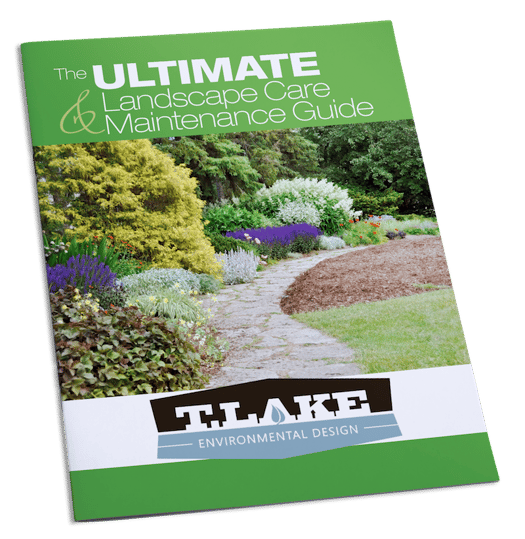 Landscape Care & Maintenance Guide | T. Lake Environmental Design